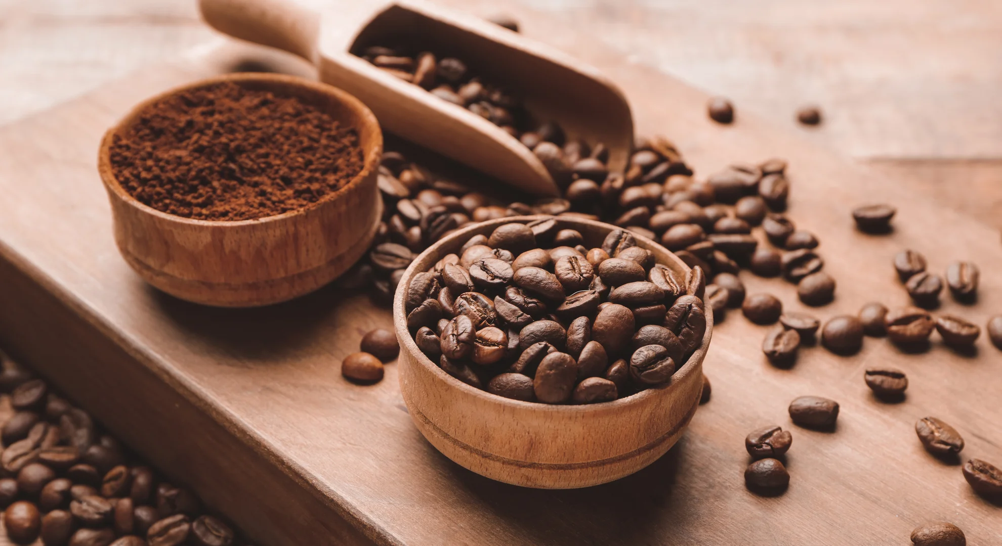 Mengenal Lebih Mendalam Kopi Arabika, Robusta, Liberika, dan Excelsa ...